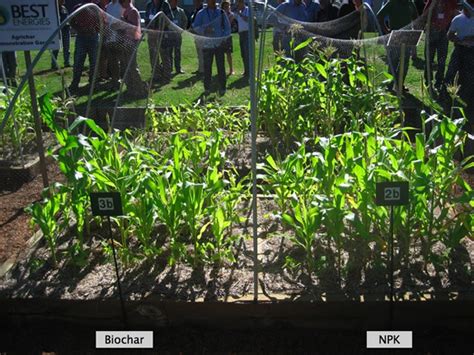 Biochar Overview