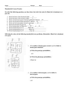 Monohybrid Crosses Practice Worksheet
