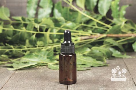 How To Use Neem Oil Spray On Houseplants — Plants And House