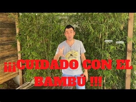 Transforma tu hogar en un paraíso natural aprende cómo hacer un jardín