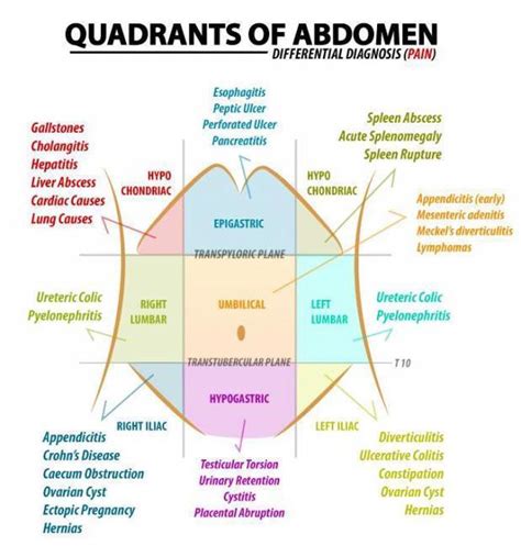 How To Do Abdominal Examination Study Group MedicalTalk Net