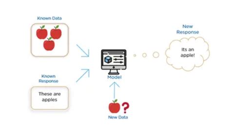 A Beginners Guide To Supervised Learning With Python Geeksforgeeks
