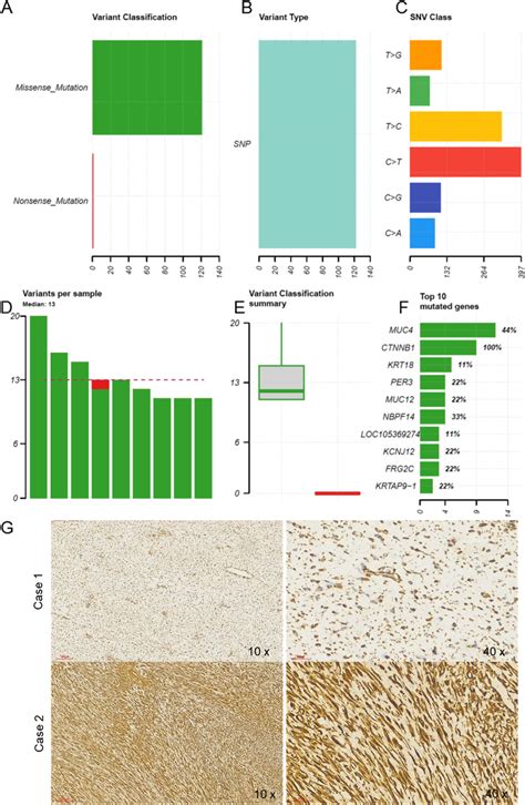 Whole Exome Sequencing Wes Identified The Critical Mutations In Pdts