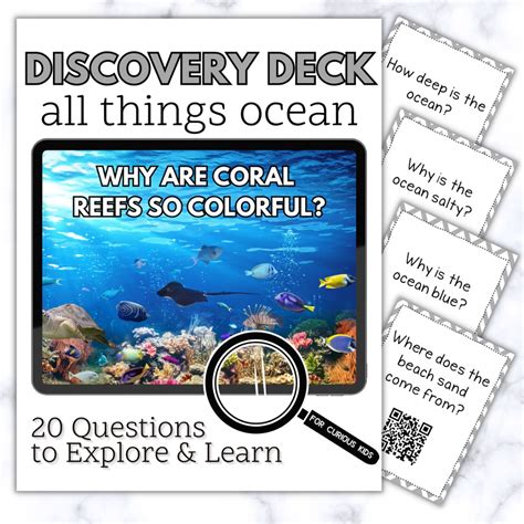 All Thing Ocean Discovery Deck The Waldock Way