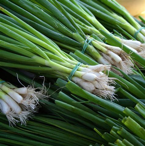 Best Ways To Use Leeks Foodisinthehouse Com