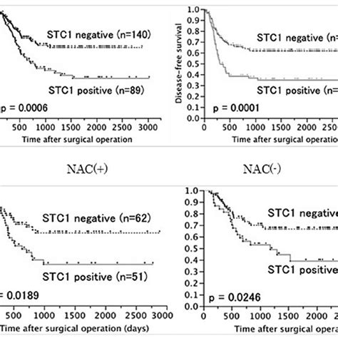 Stc1 Mrna Expression In Esophageal Normal And Tumor Tissues Of 15