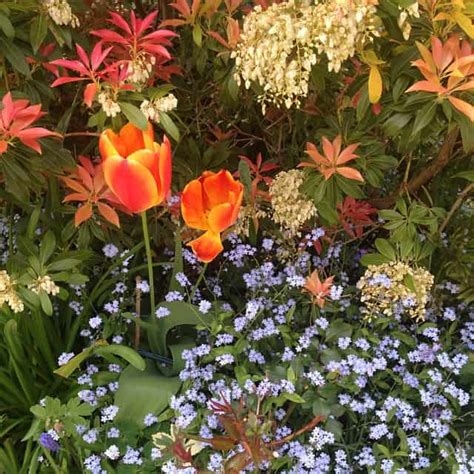 An English Country Garden A Beautiful Space
