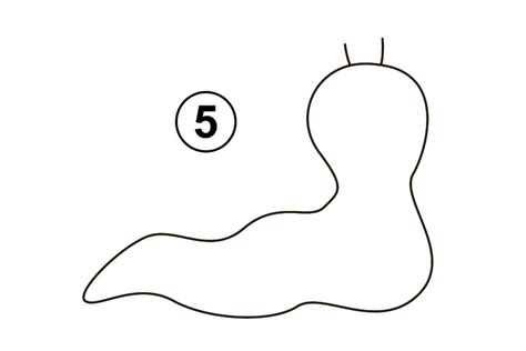 How To Draw A Slug In Easy Steps How To Draw A Slug In Easy Steps