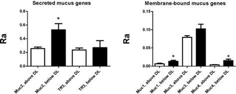Difference In Mucin Gene Expression Between Pups With Detectable And