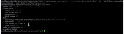 Packetbeat With Elasticsearch 8x Part 1 Install And Secure