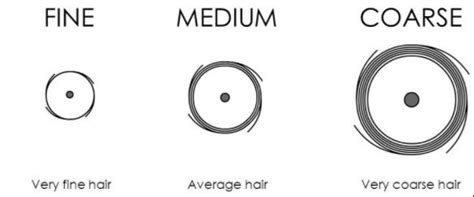 Hair Texture Fine Medium Coarse