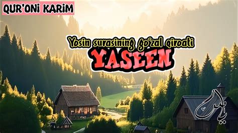 Tun Zikri Qur Oni Karimning Go Zal Tilovati Yosin Surasi Youtube