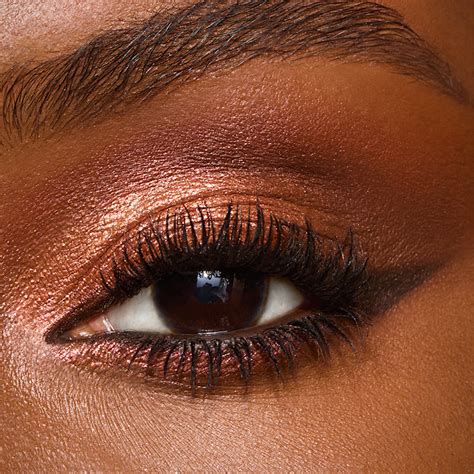 Dark Brown Eye Close Up With Makeup Nyx Professional Makeup The Brow