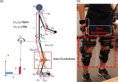 Subject Specific Optimal Control Of Powered Knee Exoskeleton To Assist