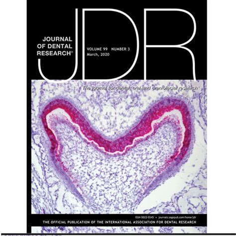 北京大学口腔医院韩冬副教授团队在jdr杂志刊发封面文章 新闻动态