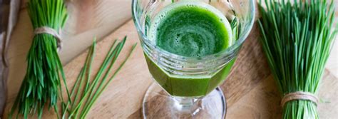 True Leaf Market True Leaf Market Seed Company