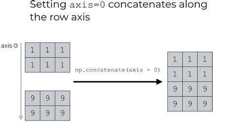 Руководство для начинающих по Numpy