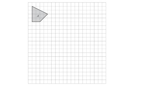 Transformations Cie Igcse Maths Core Questions And Answers 2023 Easy