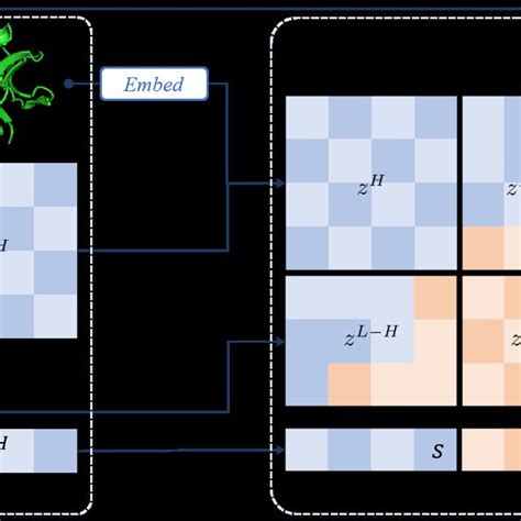 the fusion of heavy and light chain features for multimer structure