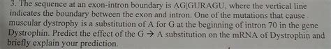 Solved The Sequence At An Exon Intron Boundary Is Ag Guragu