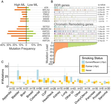 Associations Between Ddrcr Gene Mutation Frequency Tumor Mutational