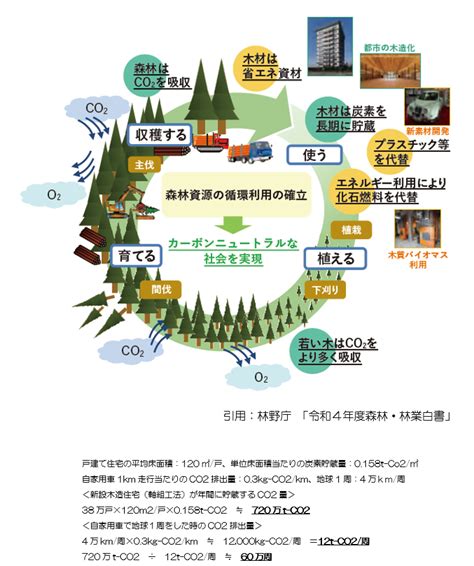 木造戸建て住宅の炭素貯蔵量 一般社団法人 日本木造住宅産業協会