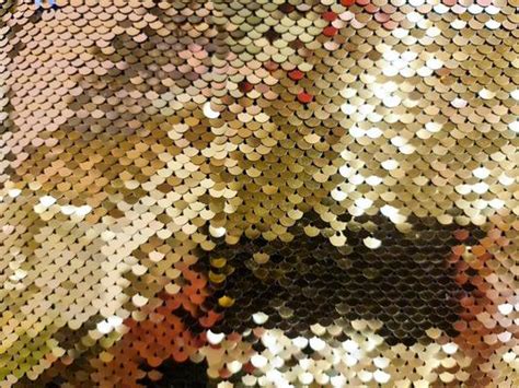 Sequin Fabric Stock Photos Images And Backgrounds For Free Download