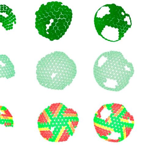 Models Of The Hiv 1 Shells From Literature Colored Trimer Model A