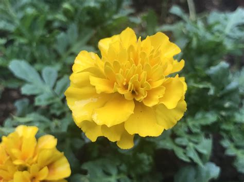 ビックカメラ水戸駅店🌻 On Twitter こんにちはー🌼 M2vtzvzhlx Twitter