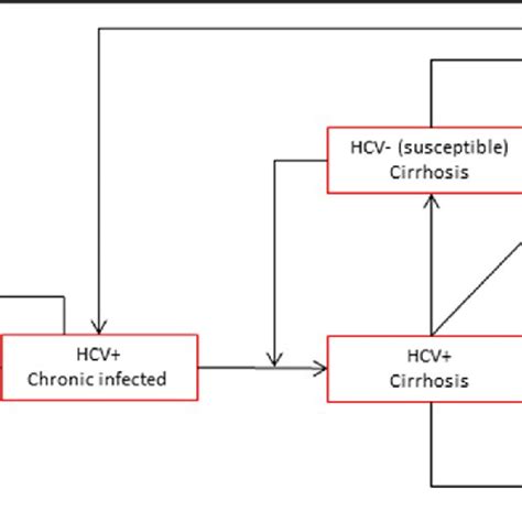 Compartmental Model Of Hepatitis C Hcv Progression Among People Who Download Scientific