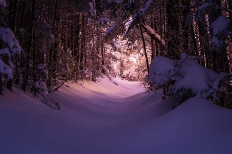 Blog Archives - High On LeConte