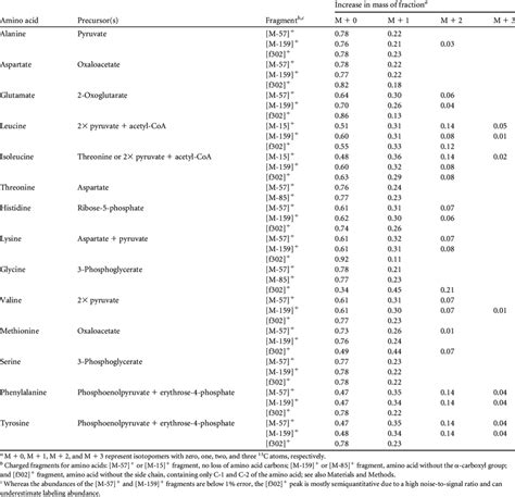 Isotopomer Labeling Patterns Of Amino Acids In S Aciditrophicus When