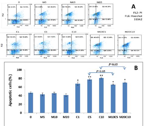 Effect Of Metformin Cisplatin And Metformincisplatin On Apoptosis In Download Scientific