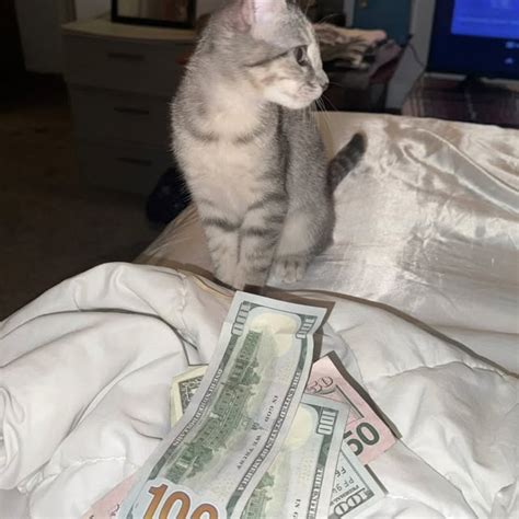 Elijah B Elijahb612 On Threads