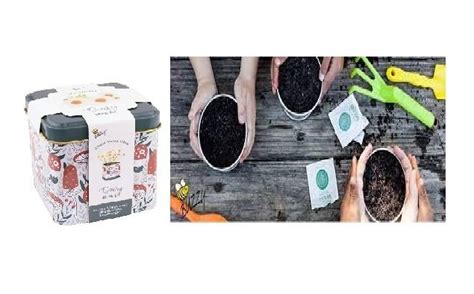 Buzzy Cactus Grow Kit In Tin Can Includes Planter Seeds And Growing