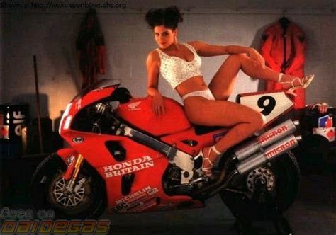 Girls Honda Daidegas Forum