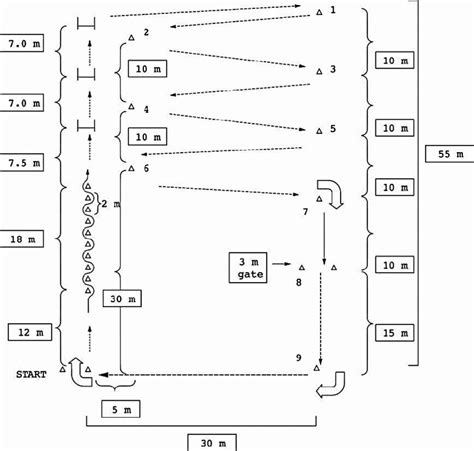 Esquema Del Test De Hoff En Campo Download Scientific Diagram
