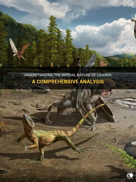 Understanding The Bipedal Nature Of Lizards A Comprehensive Analysis