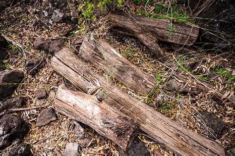 산 근처에 있는 큰 바위나 바위를 클로즈업합니다 큰 여러 가지 빛깔의 화강암 햇빛에 빛나는 주황색 입자가 있는 큰 회색 석조 구조물의 세부 사항 0명에 대한 스톡 사진 및