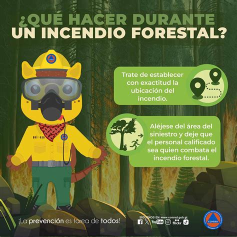 Recomendaciones En Caso De Incendios Forestales Conred