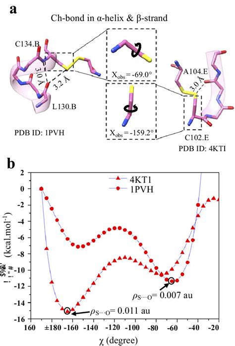 Stabilisation of α helices and β sheets by S a Representative