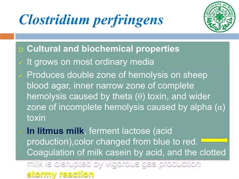 Veterinary Important Clostridium Species Pptx Infectious Diseases