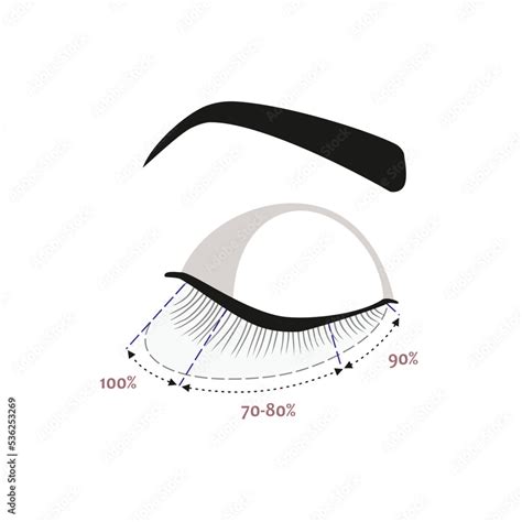 Eyelash Extension Guide Different Types Of Eyelash Extensions Styles