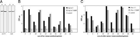 Comparative Analyses Of The Immunoreactivity Of Prokaryotically Versus
