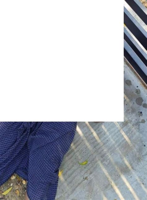 စစ်ကောင်စီက သေနတ်ပေးကိုင်ထားသည့် ပုဂံငဆော် သန်းခေါင်စာရင်းလိုက်ကောက်နေစဉ် ပစ်ခတ် ခံရပြီး သေဆုံး