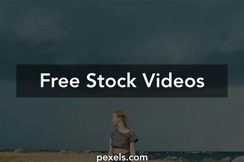 Grasses With No Baground Videos Download Free 4k Stock Video Footage
