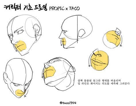 타코작가 taco1704 on X 해부학 예술 드로잉 강좌 그리기 튜토리얼