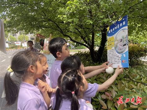 光谷这所小学的树上“长”满了书大武汉