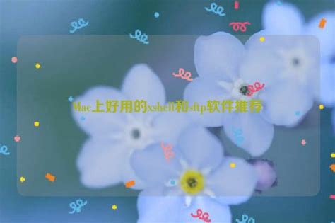 Mac上好用的xshell和sftp软件推荐 It文章 陈派导航