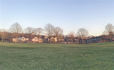 Grizzly Discovery In South London Park Sparks Met